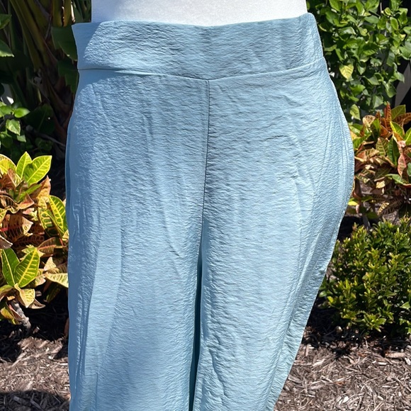 Rachel Zoe | Pants & Jumpsuits | Nwt Rachel Zoe Pants | Poshmark